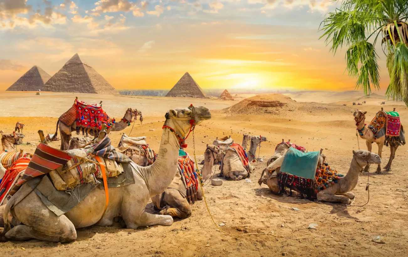 Is Egypt Safe To Visit In 2025: Safe Areas, Places To Avoid And Tips